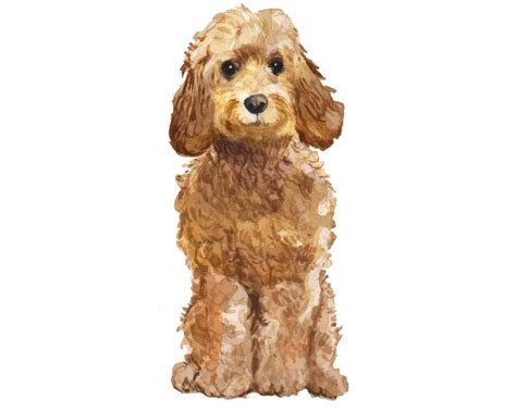 Cockapoo Dog Wall Decal Golden Etsy Canada Lakeland Terrier