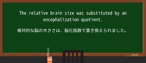 【英単語】encephalizationを徹底解説！意味、使い方、例文、読み方 おもしろい英文法