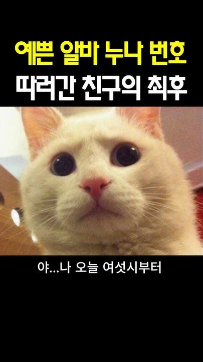 Pc방 알바 누나 번호 따러간 친구의 최후ㅋㅋㅋ Youtube