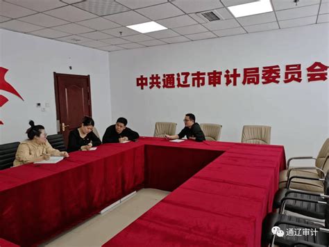 通辽市审计局第三党支部召开支委会，专题学习党的二十大精神理论会议习近平