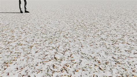 Patchy Grass And Leaves On Snow Texture Poliigon