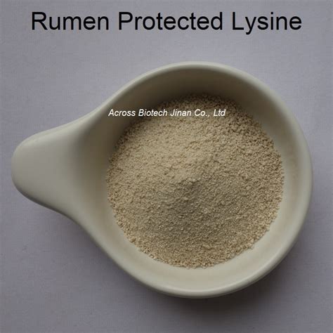 Wholesale Rumen Protected Lysine With Nice Price Rumen Protected