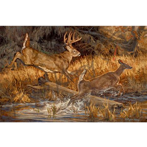 Original Oil Wildlife Paintings Page 2 Ryan Kirby Wildlife And