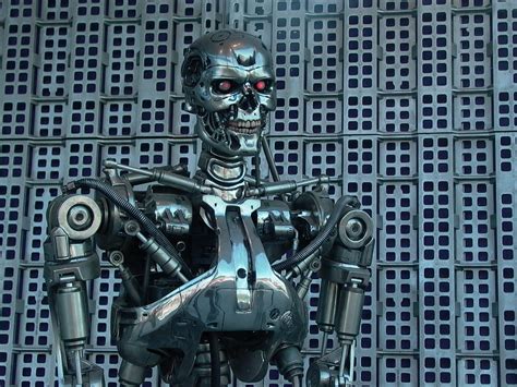 Terminator Endoskeleton Skull