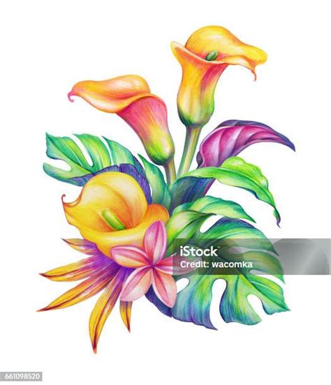 추상 열 대 잎과 꽃 정글 식물 수채화 그림을 흰색 배경에 고립 0명에 대한 스톡 벡터 아트 및 기타 이미지 0명 공예 구도 Istock