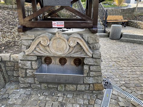 Repty Śląskie Źródełko Młodości Odnowione