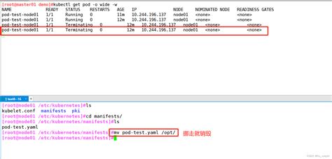 【kubernetes】关于云原生之k8s集群的pod理论详解