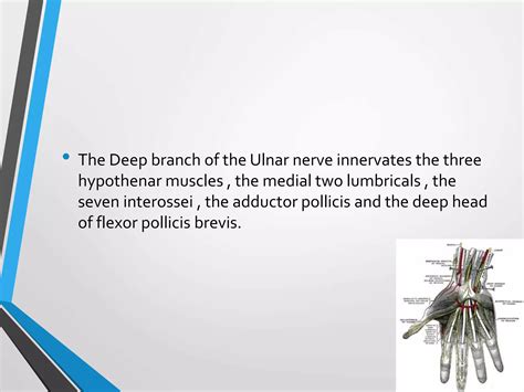 Ulnar Nerve And Clinical Features Pptx