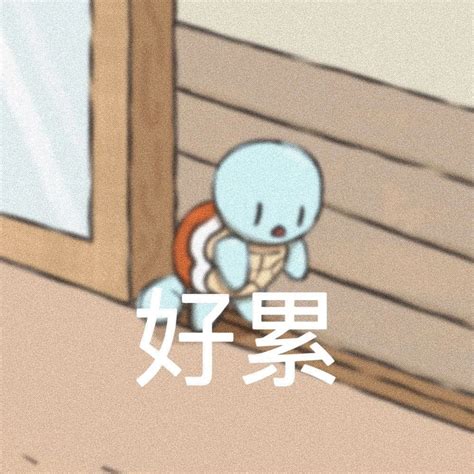 杰尼龟 高清图片，堆糖，美图壁纸兴趣社区