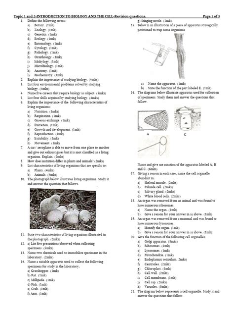 Bio F1 Rev Sam Obare Pdf Photosynthesis Stoma