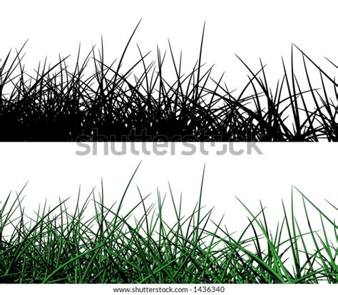 3d Grass Alpha Mask Stock Illustration 1436340