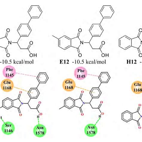 Structure And Interactions Of The Compounds C12 E12 And H12 With A Download Scientific Diagram