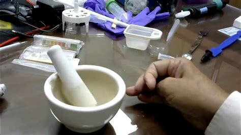 Pgs 504 Class Youtube