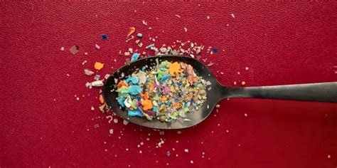 ¿qué Efectos Puede Tener En La Salud Humana Consumir Microplásticos