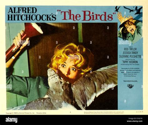 Alfred Hitchcock The Birds Poster Pittsburgh Classic Movie Club