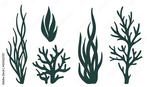 Laser Cutting Template Seaweeds Set Of Coral Reef Underwater Plants