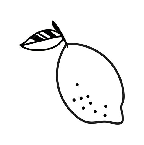 Premium Vector Doodle Style Lemon