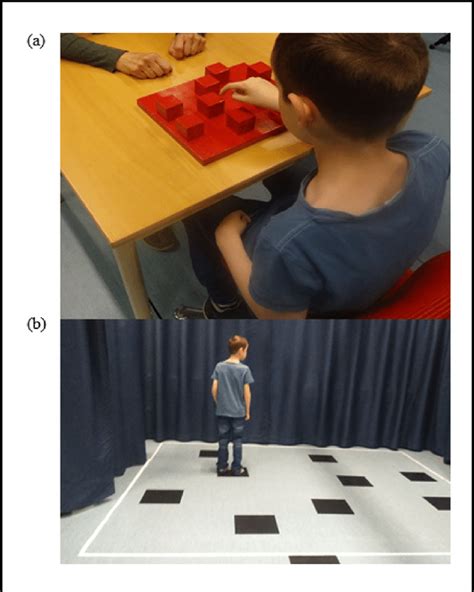 a apparatus used to administer the corsi block tapping test cbt