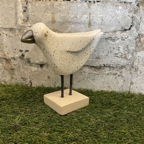 Standing Steven The Seagull The Nook Tenby