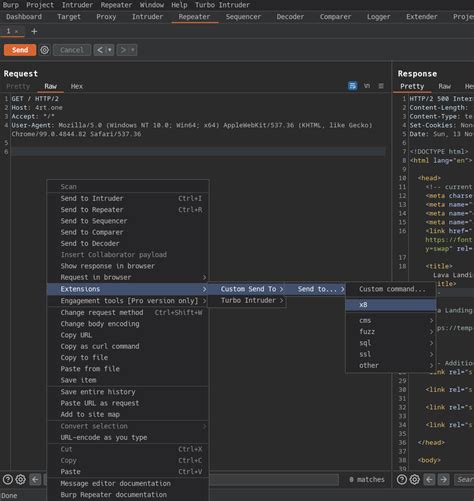 GitHub Sh Yo X Hidden Parameters Discovery Suite