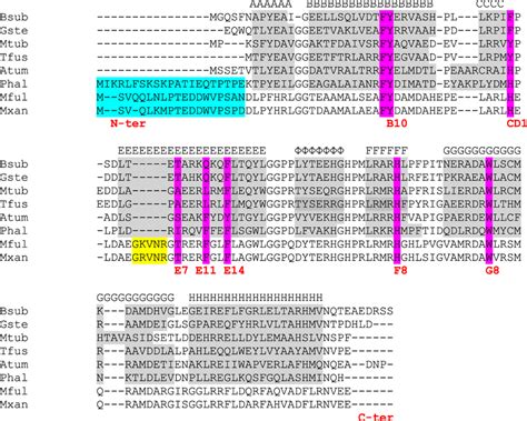 structure based sequence alignment of mx hbo with the representative