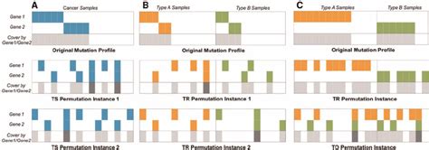 Illustrations Of Different Permutation Tests A TS Test The First Download Scientific