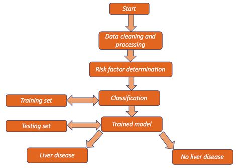 Bilirubin Metabolism Flow Chart