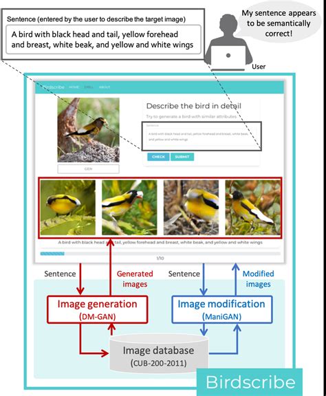 system architecture the user gives input sentences to describe the