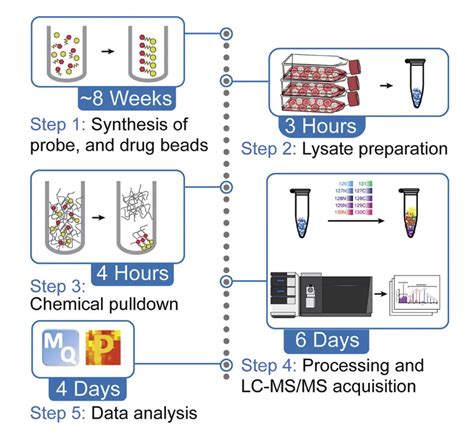 Protein Characterization Assays Service Mtoz Biolabs