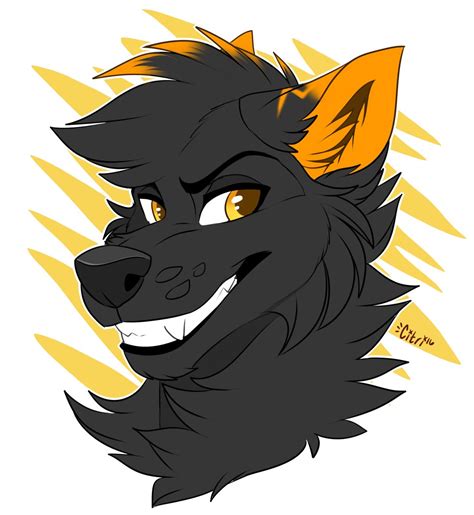 The Big Imageboard Tbib 2016 Black Fur Black Lips Black Nose Canid