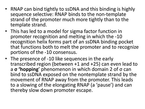Global Regulation And Differentiation By Sigma Factorpptx