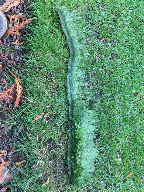 Greensmaster Tearing Out Lawn Lawn Care Forum