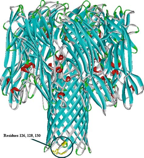 Molecular Structure Of Staphylococcus Aureus α Hemolysin Ahl With