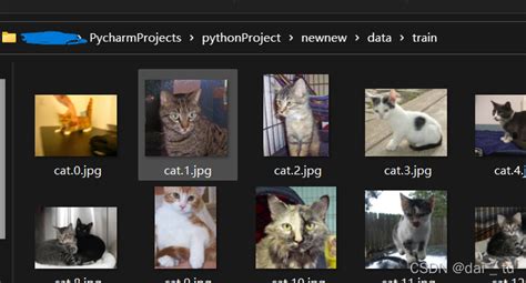 基于pytorch的cnn猫狗图分 Csdn博客