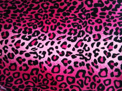 Pink Leopard Print Desktop Wallpapers Wallpaper Cave