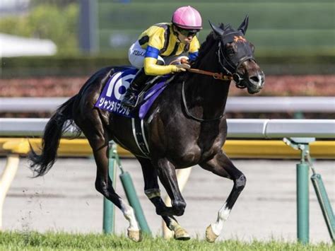 ジャンタルマンタルの父パレスマリスってどんな馬？ 24年からは日本で種牡馬生活スタート 競馬ニュース Netkeiba