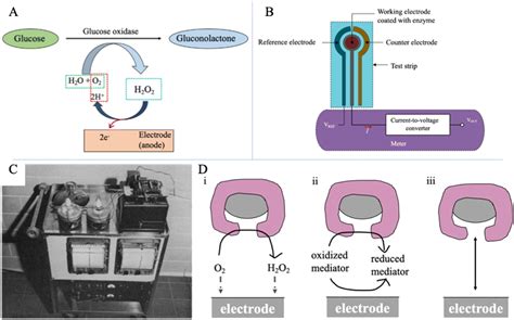 Recent Advances In Optical Sensors For Continuous Glucose Monitoring Sensors And Diagnostics