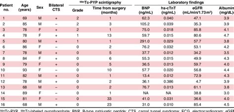 Cardiac Evaluation In The 16 Patients Undergoing 99m Tc Pyrophosphate Download Scientific