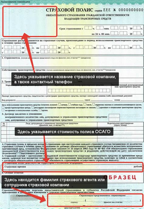 Проверить полис ОСАГО на подлинность по базе РСА