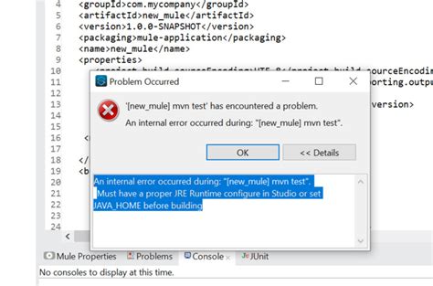 Getting An Internal Error Occurred During Newmule Mvn Test Must
