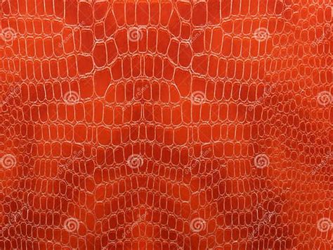 Textures Skin Artificial Stock Image Image Of Polymeric 13779343