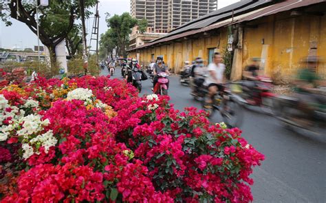 Rộn ràng chợ hoa Xuân Trên bến dưới thuyền ở TP HCM