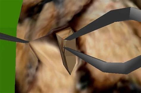 Example Showing The Interaction With Two Haptic Devices Download Scientific Diagram