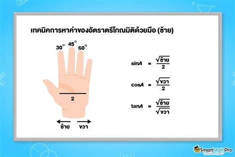 ตรีโกณมิติ ม 3 สรุปเนื้อหาพร้อมโจทย์จัดเต็ม จบในที่เดียว