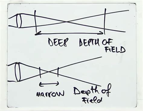 Photo Basics How A Cameras Focusing System Works In Both Auto And