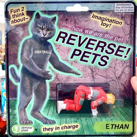 Sorry Ethan Rfuckethan