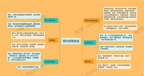 预防感冒食谱思维导图编号p7232648 Treemind树图