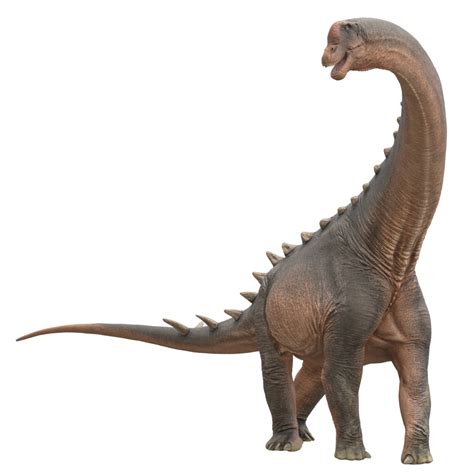 Alamosaurus Facts Dinosaurs