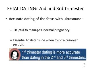 2nd And 3rd Trimester Dating For Starter Pptx
