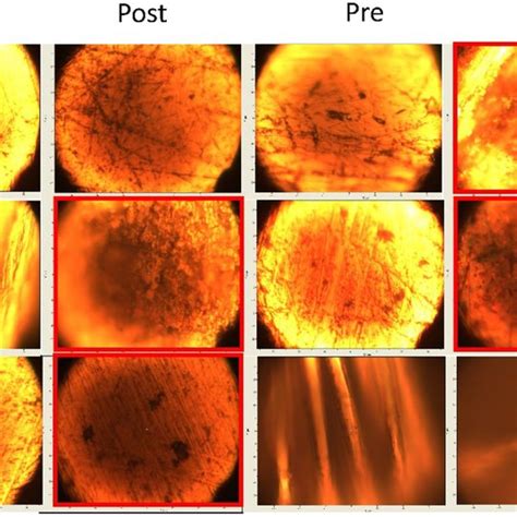 Optical Microscopy Images Were Taken At ×100 Magnification Before And